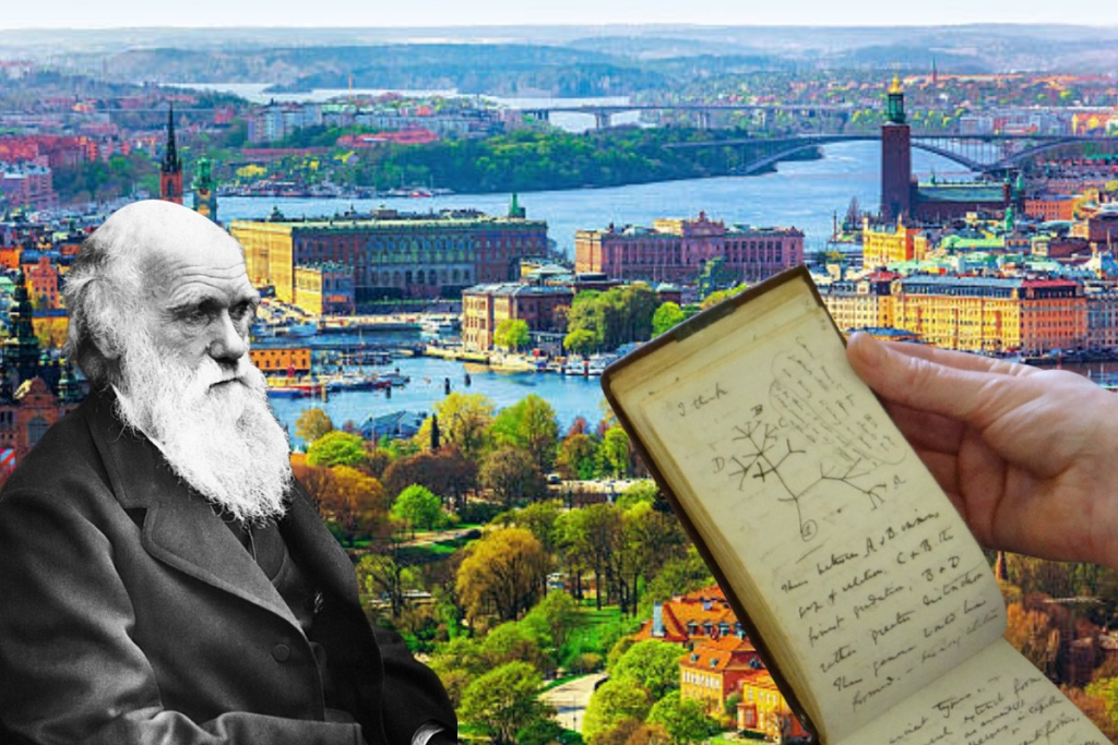 İskandinav şirketlerinin başarısının arkasındaki Darwin formülünü Lego ...